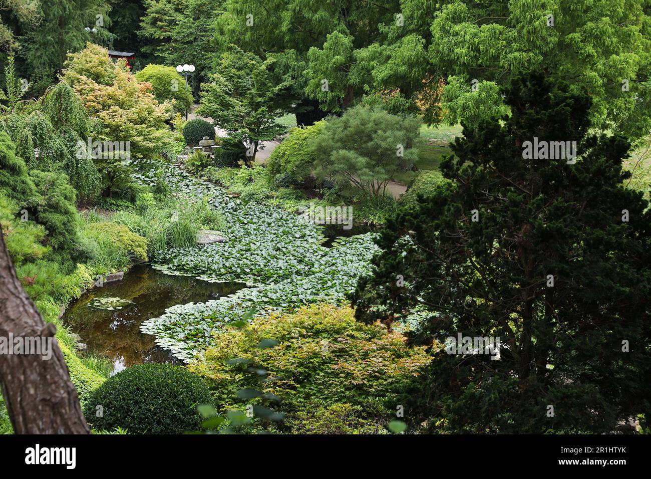 Green trees by pond hi-res stock photography and images - Alamy