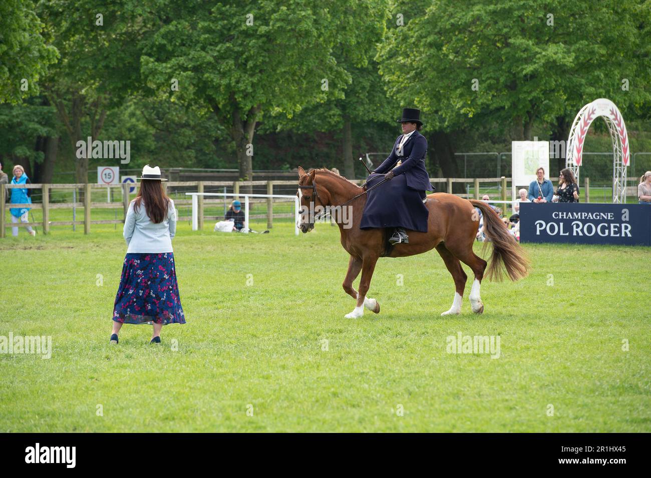 Lady side saddle hi-res stock photography and images - Alamy