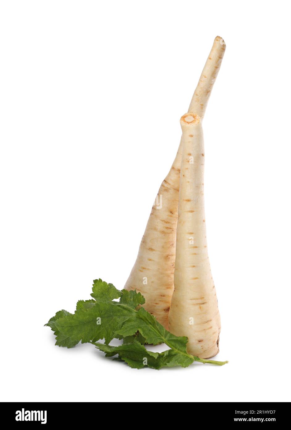 Whole fresh ripe parsnip with leaves on white background Stock Photo ...