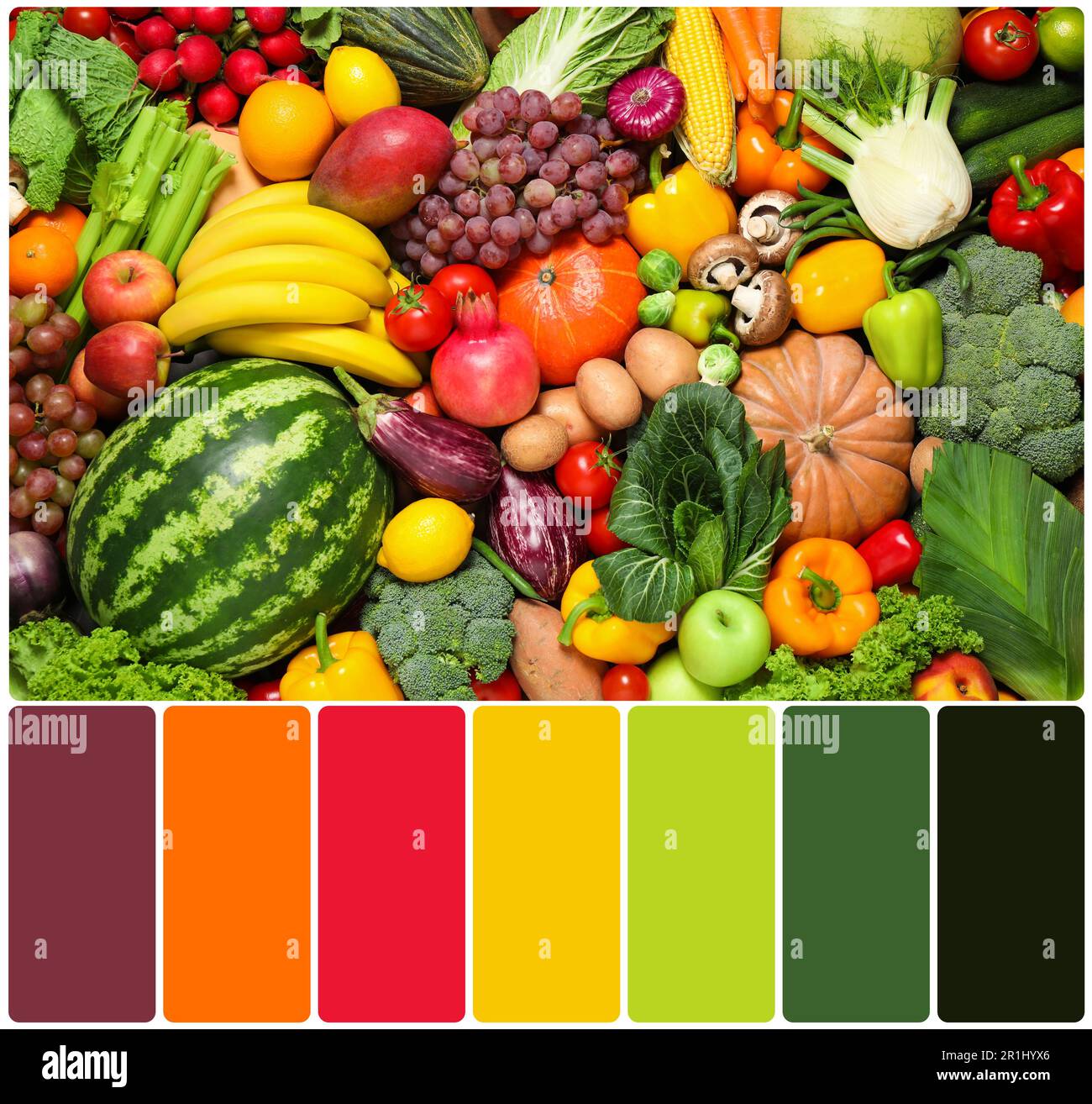 Assortment of organic fresh fruits and vegetables and color palette ...
