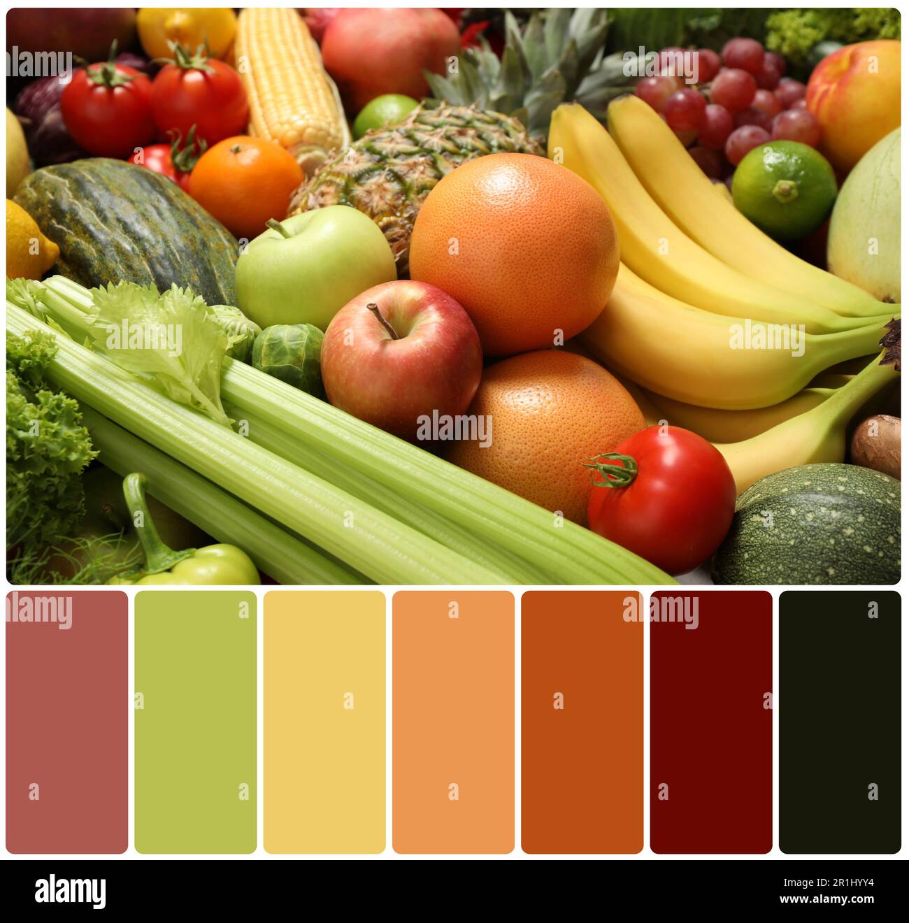 Assortment of organic fresh fruits and vegetables and color palette ...