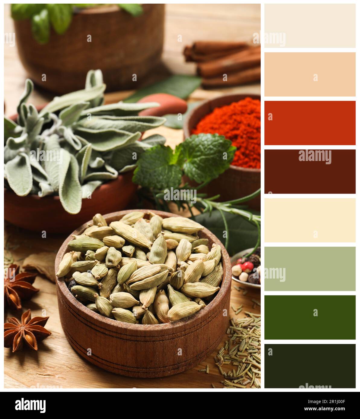 Different herbs and spices on wooden table and color palette. Collage ...