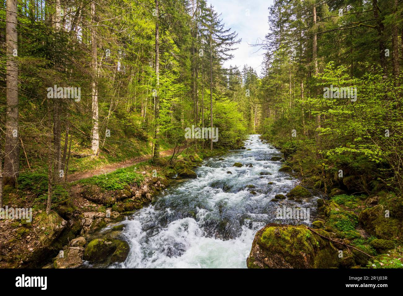 River piessling hi-res stock photography and images - Alamy