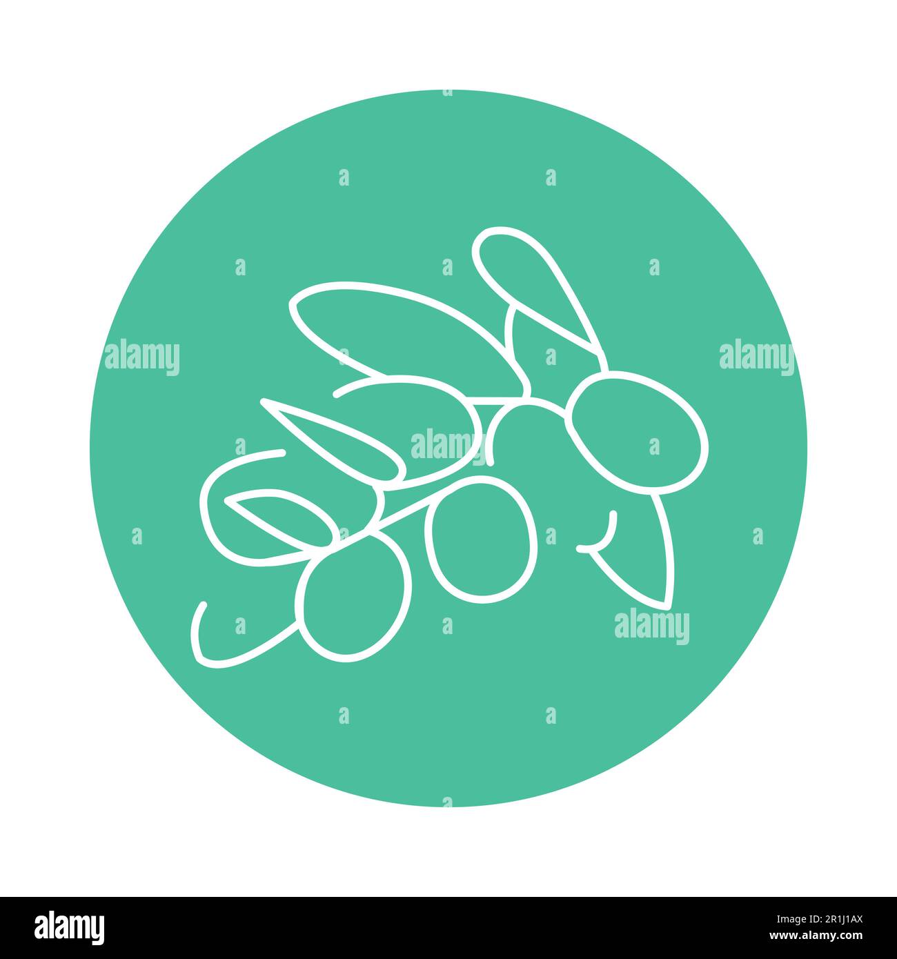 Argan oil vector vectors hi-res stock photography and images - Alamy