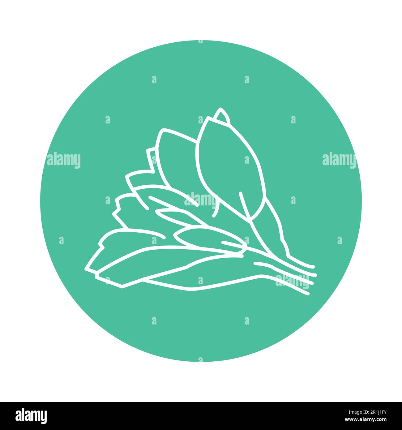 Sage plant color line icon. Pictogram for web page, mobile app, promo ...