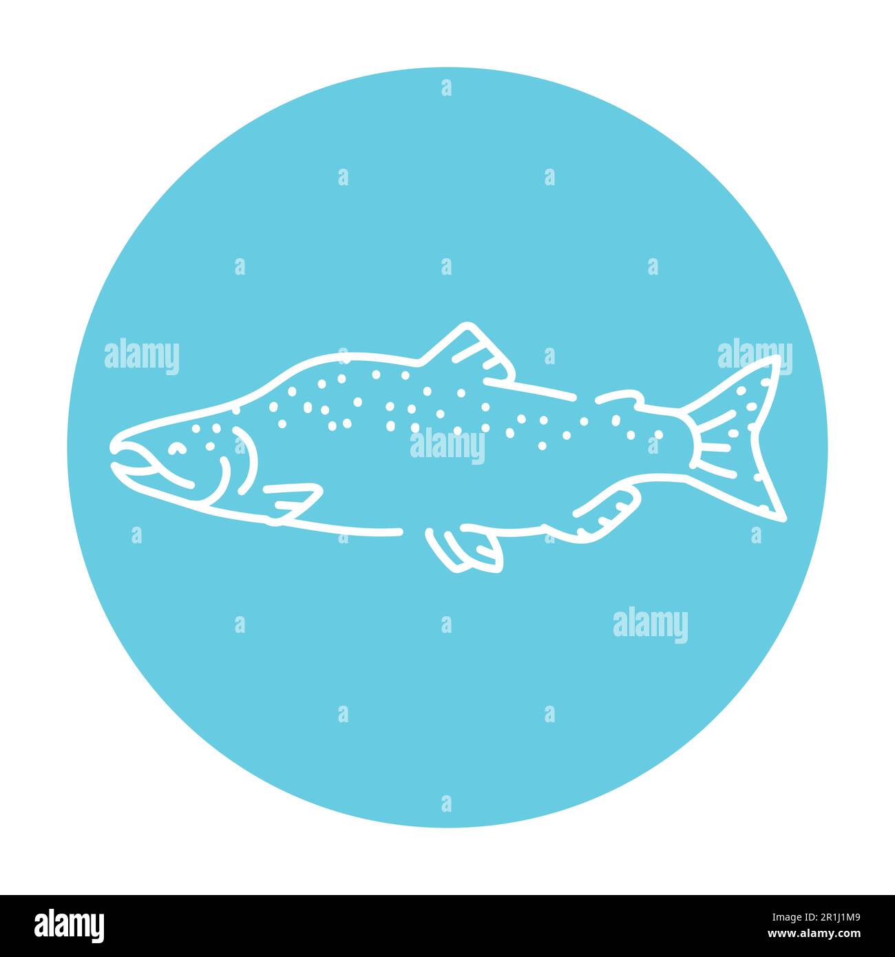Pink salmon Stock Vector Images - Alamy