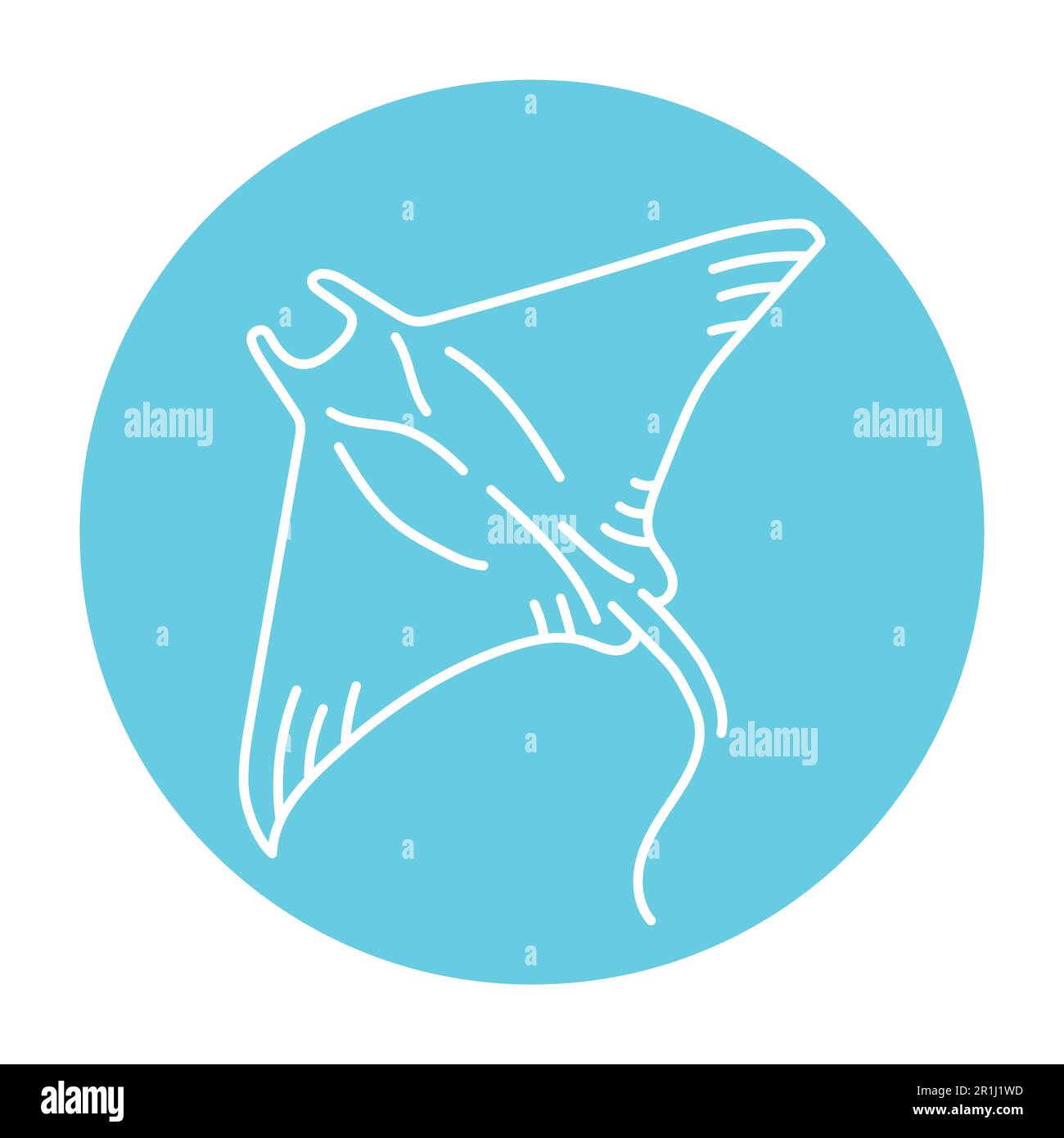 Manta fish color line illustration. Ocean fishes Stock Vector Image ...