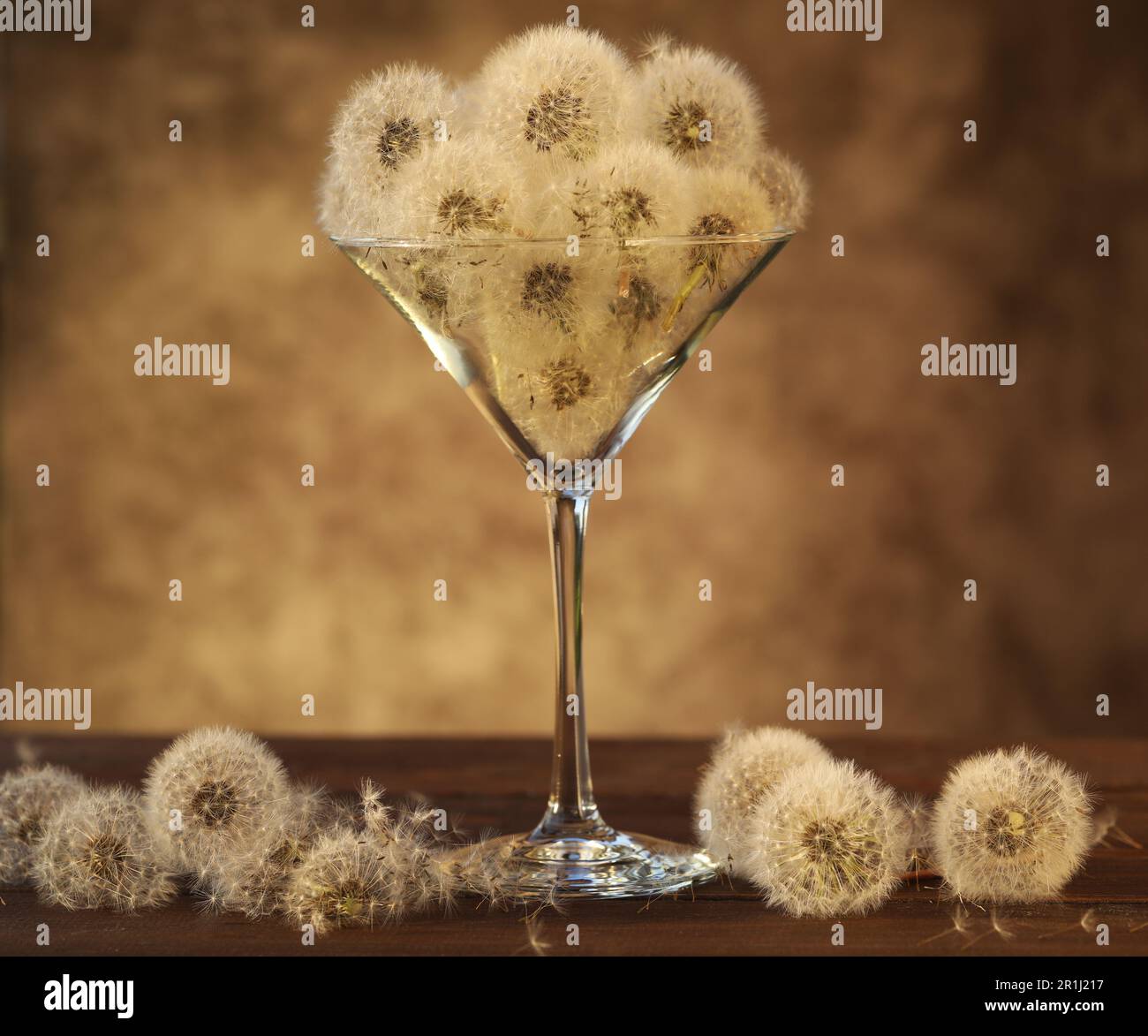 Light up dandelions hi-res stock photography and images - Alamy