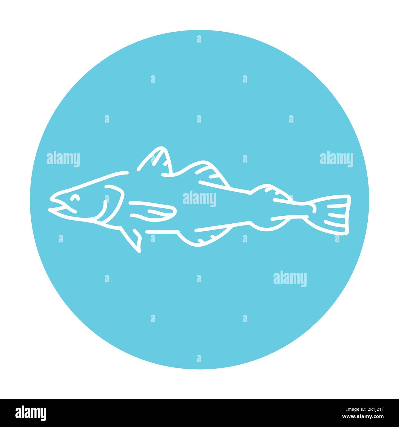 Pollock color line illustration. Ocean fishes Stock Vector Image & Art ...