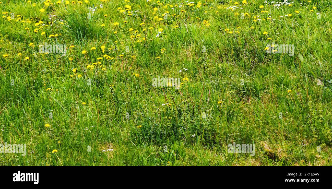 Backdrop outdoor natural hi-res stock photography and images - Alamy