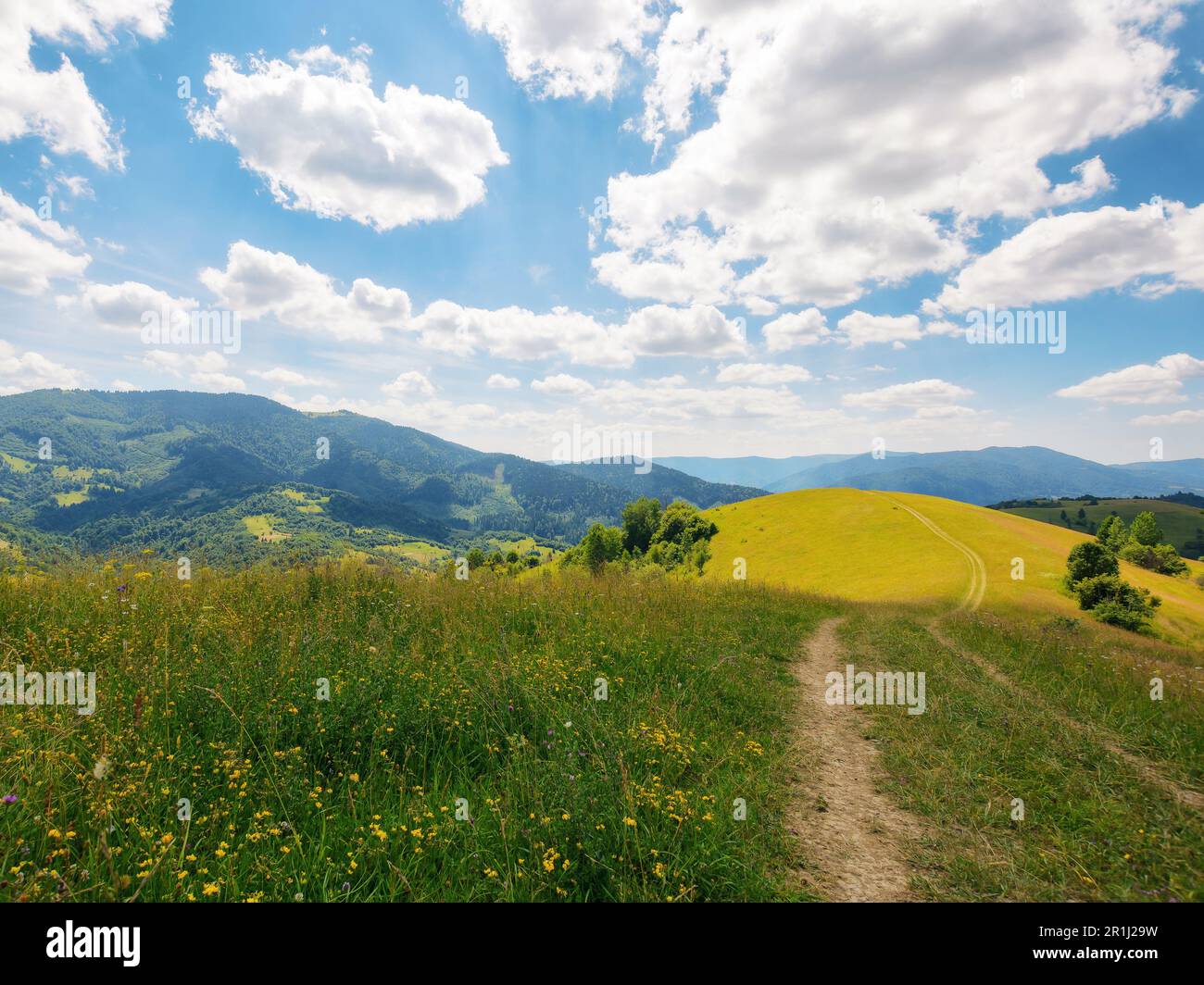 path through hills and grassy meadows. explore the mountainous ...