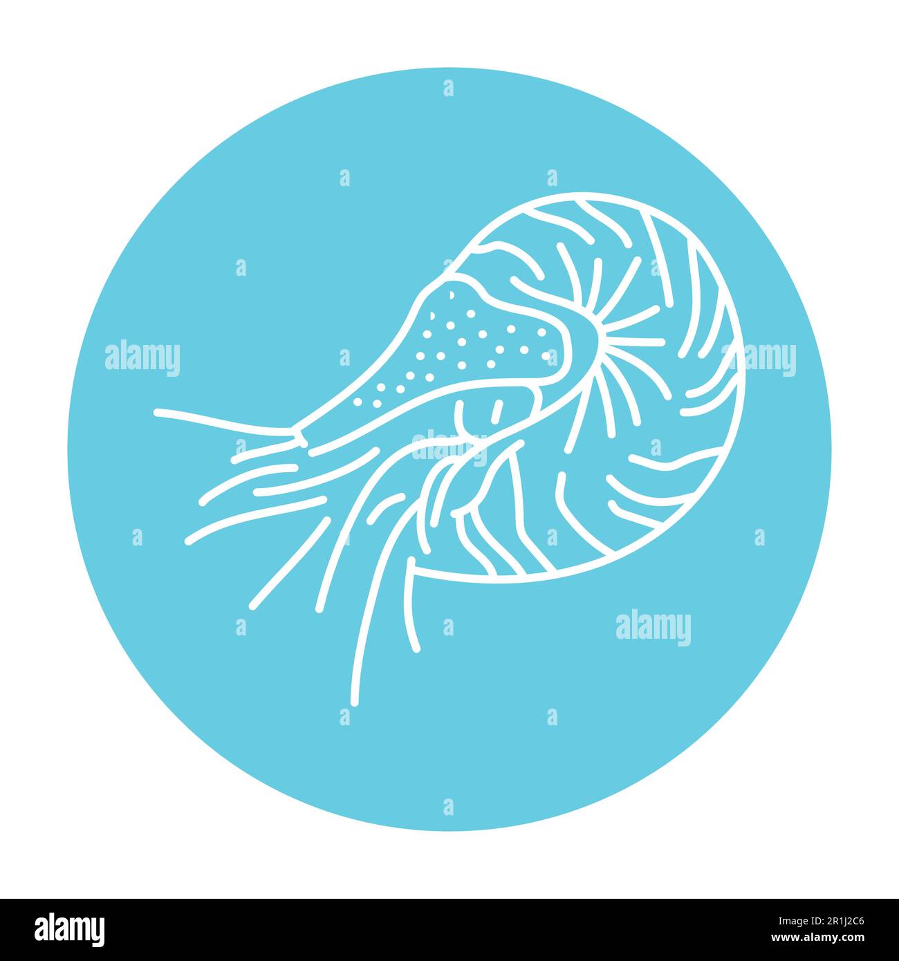 Nautilus cartoon design Stock Vector Images - Alamy