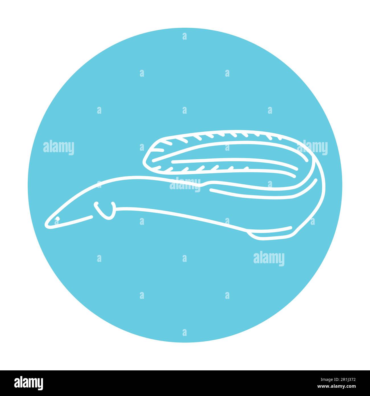 Deep-sea eel color line illustration. Ocean fishes Stock Vector Image ...