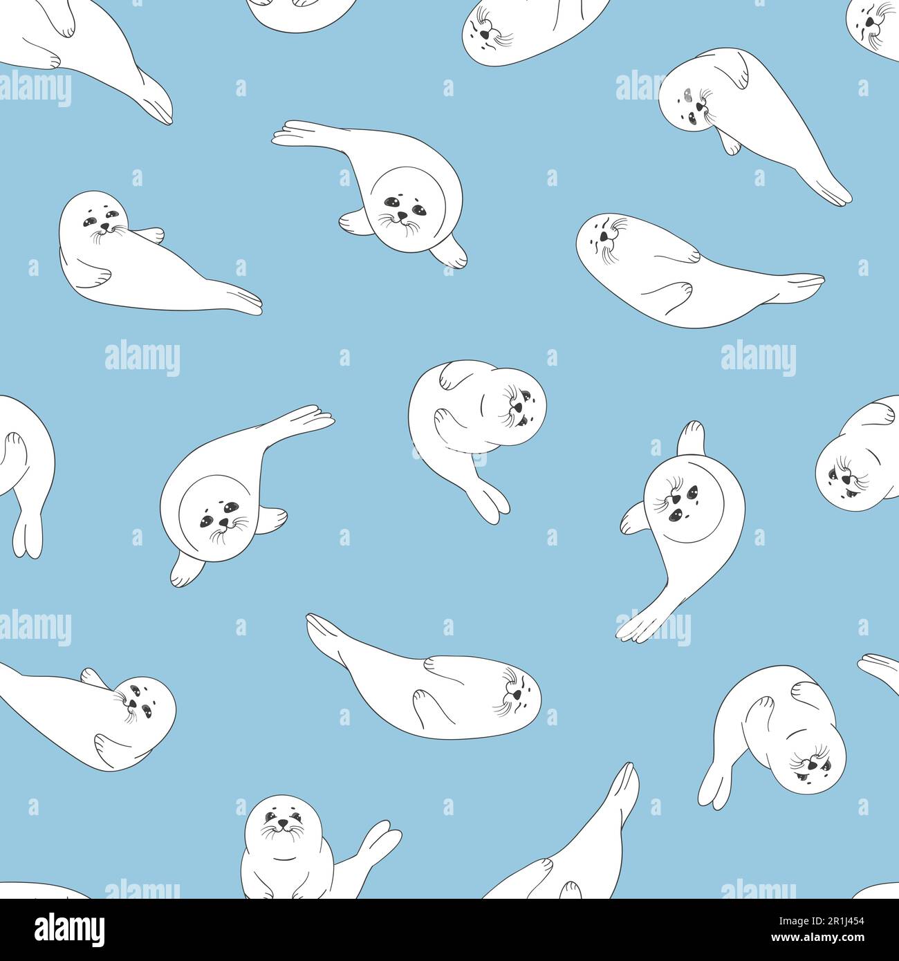 White Seal Pup Wallpaper