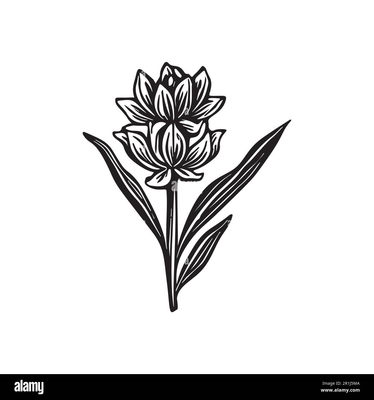 Linotype floral whimsical vector illustration. Handmade design of ...