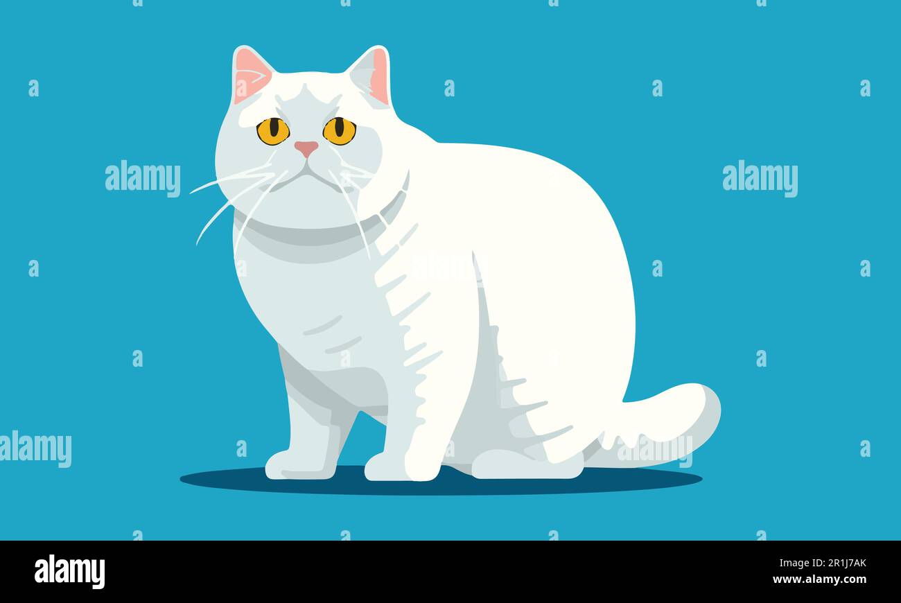 Cat vector of british cat hi-res stock photography and images - Alamy