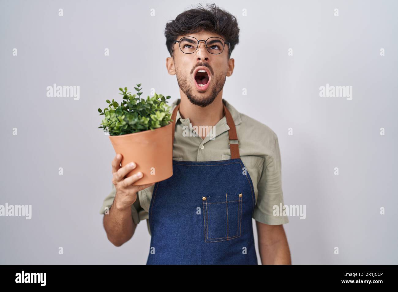 Arab man with beard holding green plant pot angry and mad screaming ...