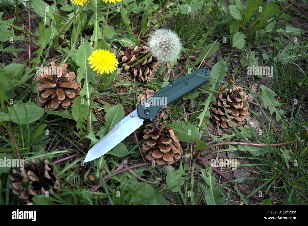 Folding knife silver cutting stainless edge green handle a lot grass dry pine cone white yellow ...