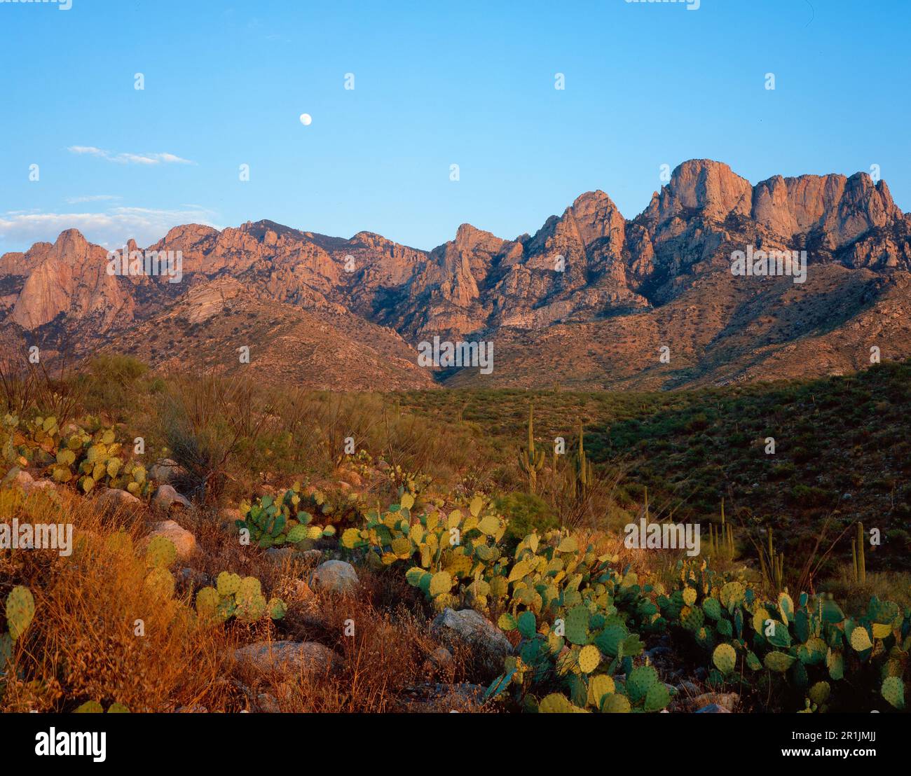 Pusch Ridge. Santa Catalina Mountains, Arizona Stock Photo - Alamy