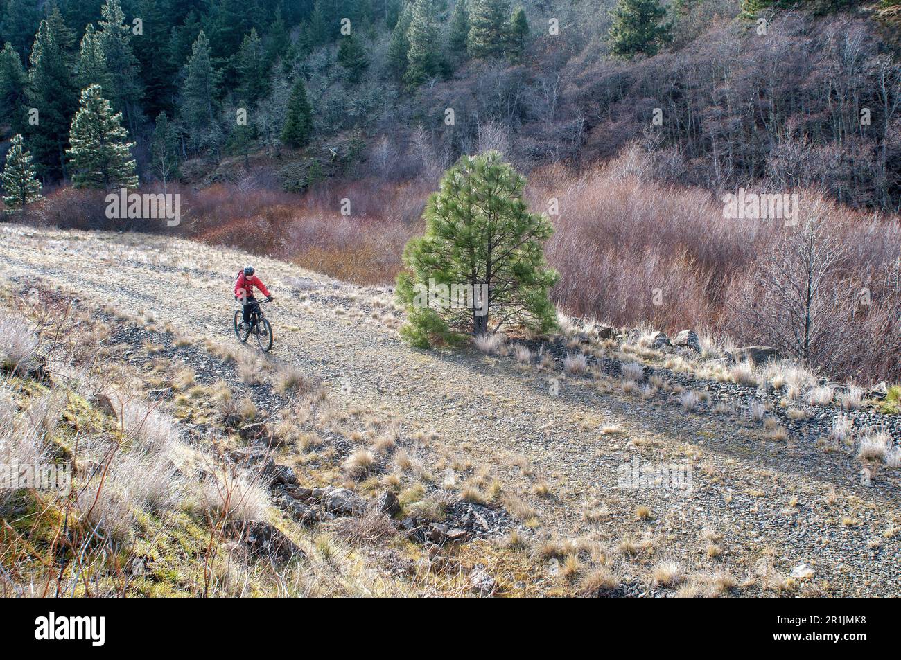 Rugged jackets hi-res stock photography and images - Alamy