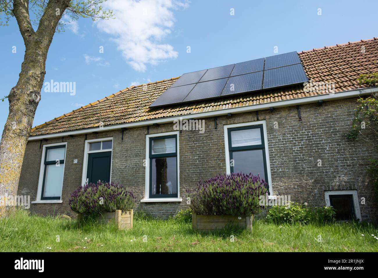 Older renovated small rural house in a green environment with solar ...