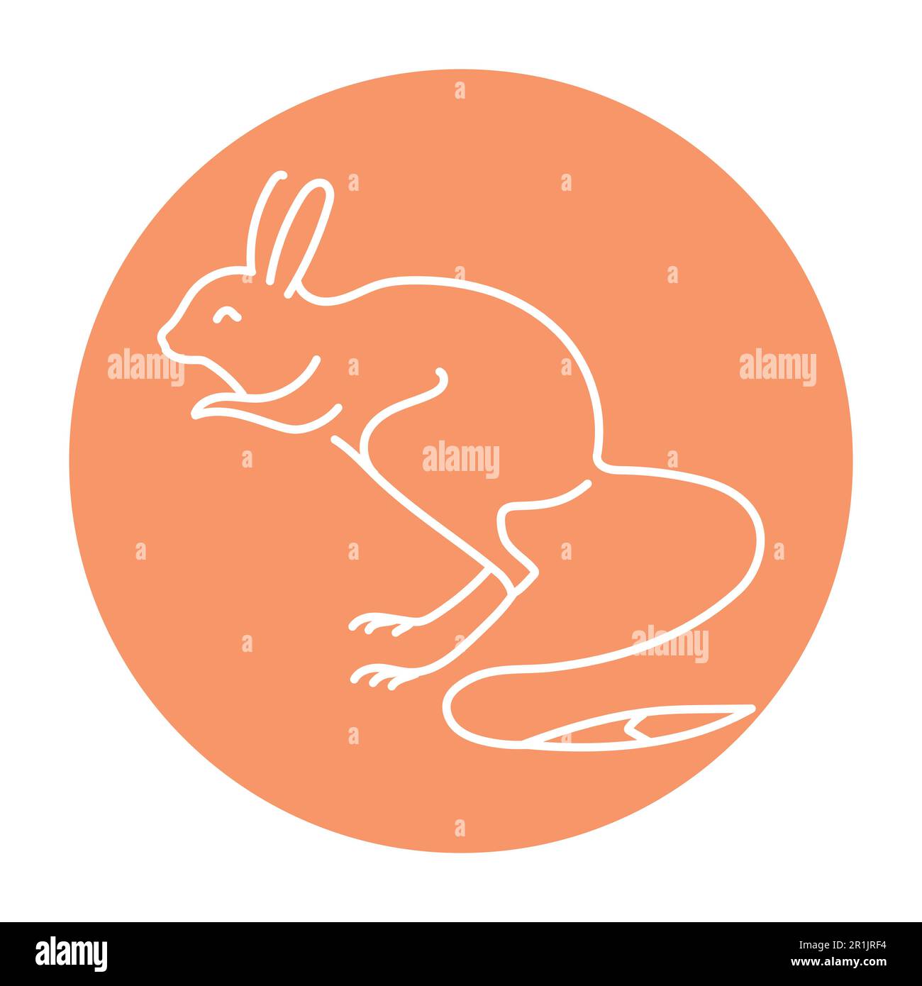 Jerboa color line illustration. Animals of Africa Stock Vector Image ...