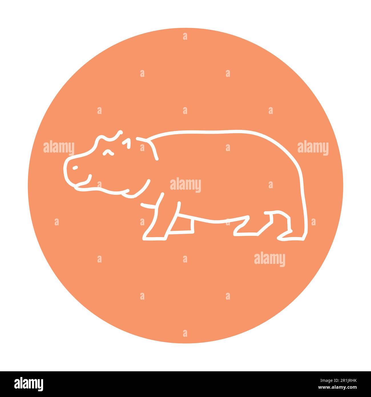 Hippopotamus color line illustration. Animals of Africa Stock Vector ...