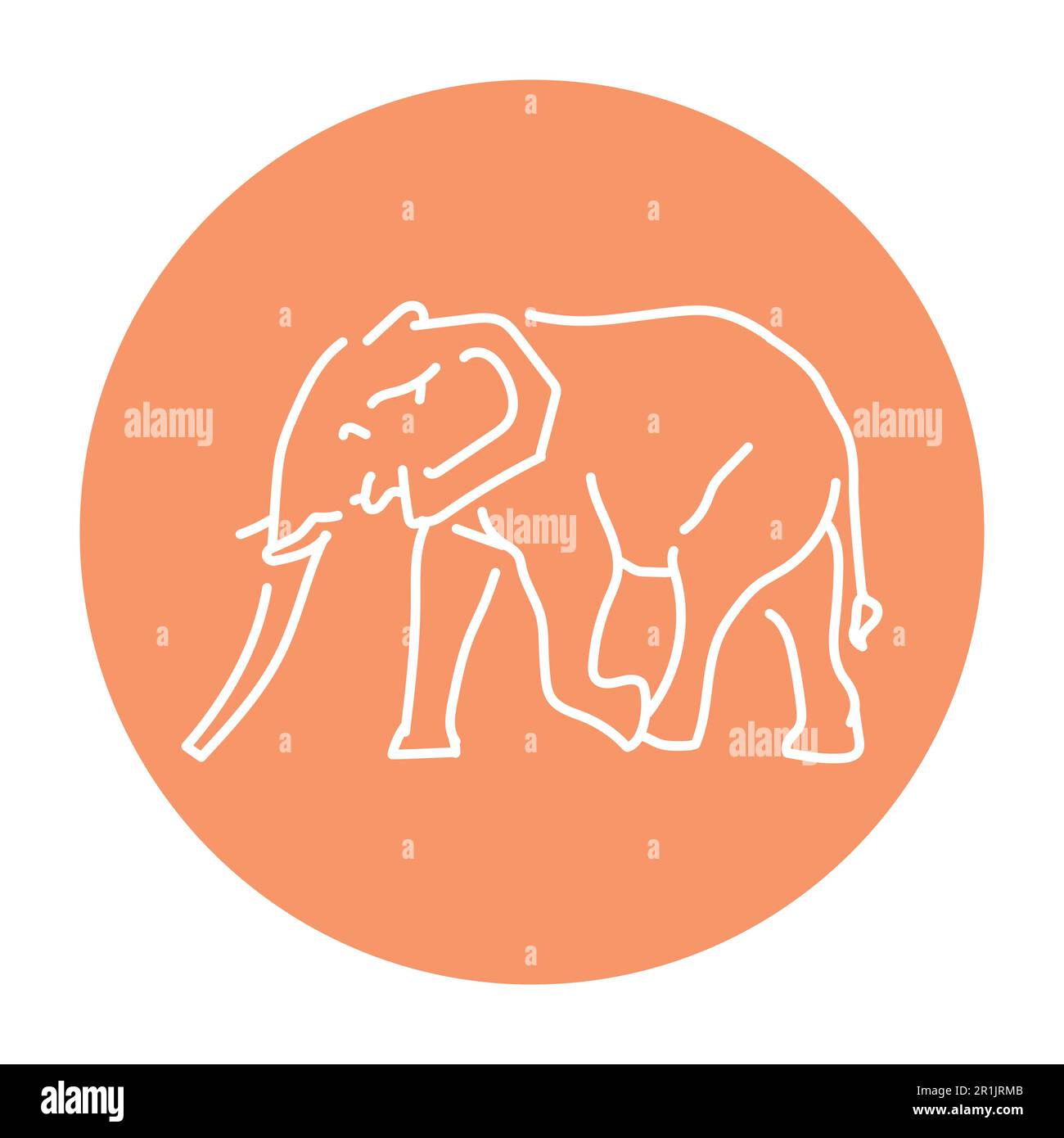 African elephant color line illustration. Animals of Africa Stock ...