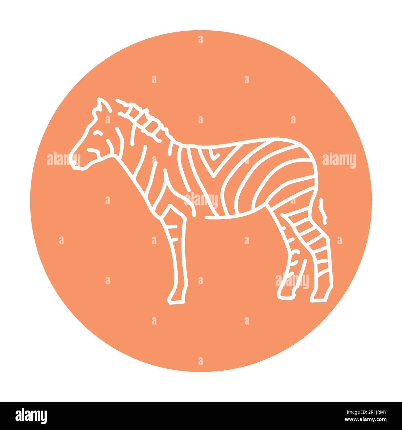 Zebra color line illustration. Animals of Africa Stock Vector Image ...