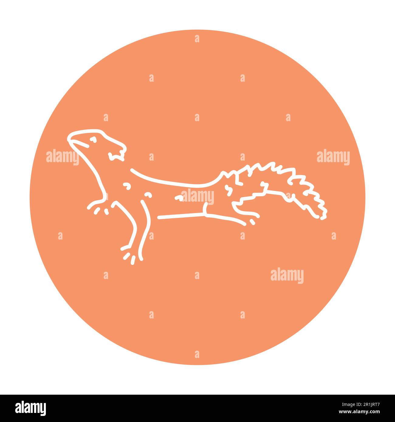 Lizard color line illustration. Animals of Africa Stock Vector Image ...