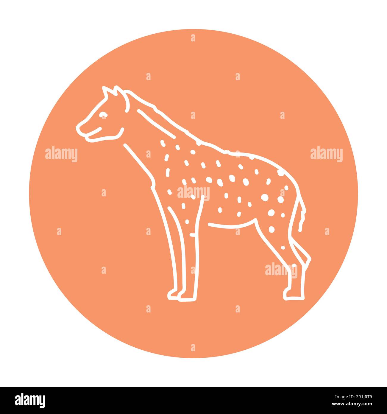 Hyena color line illustration. Animals of Africa Stock Vector Image ...