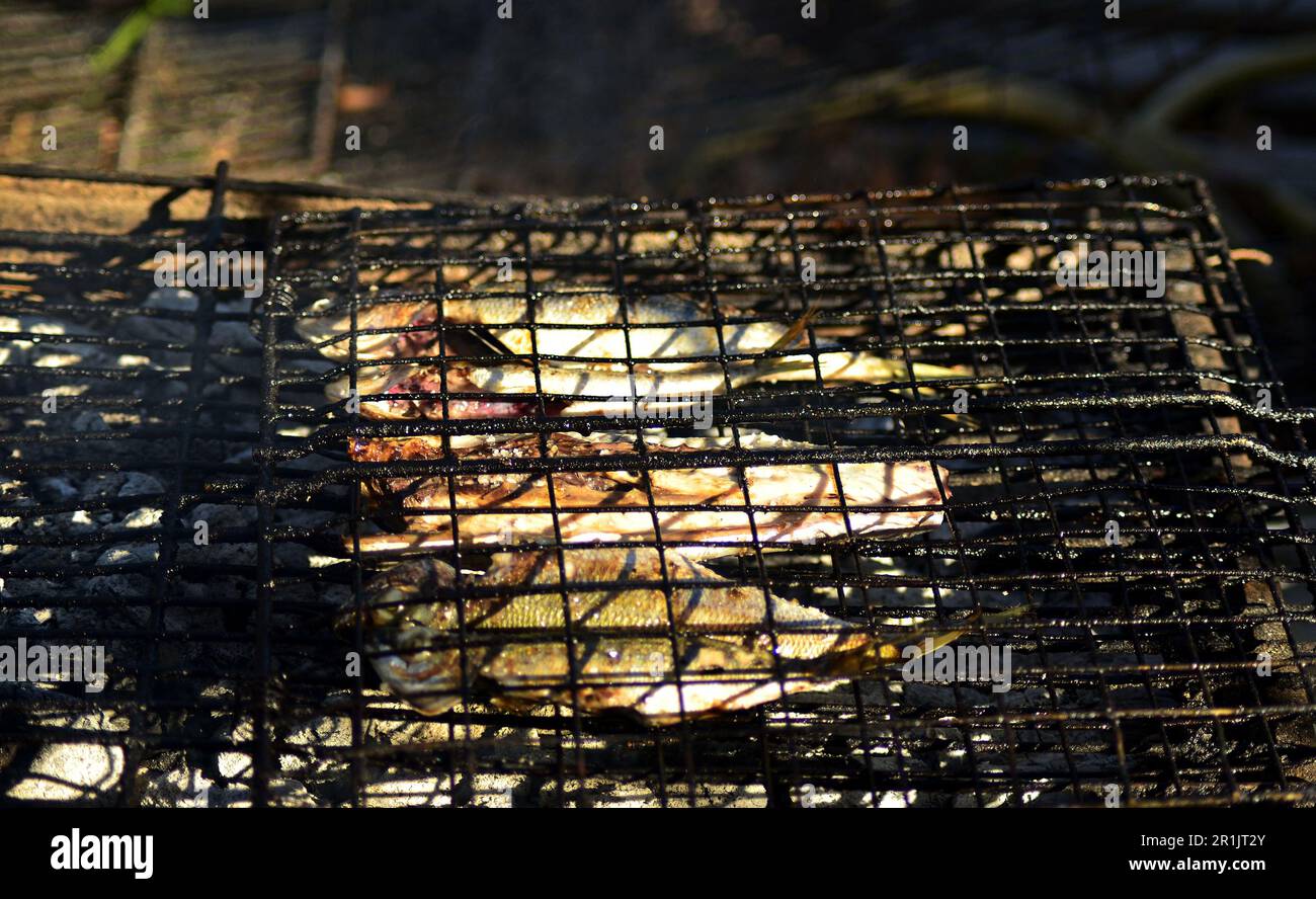 Dorada sea fish is fried on coals. You can see smoke and a grate with ...