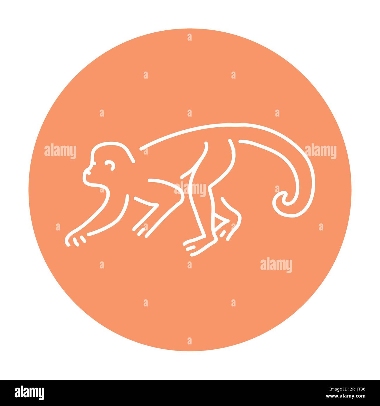 Monkey color line illustration. Animals of Africa Stock Vector Image ...