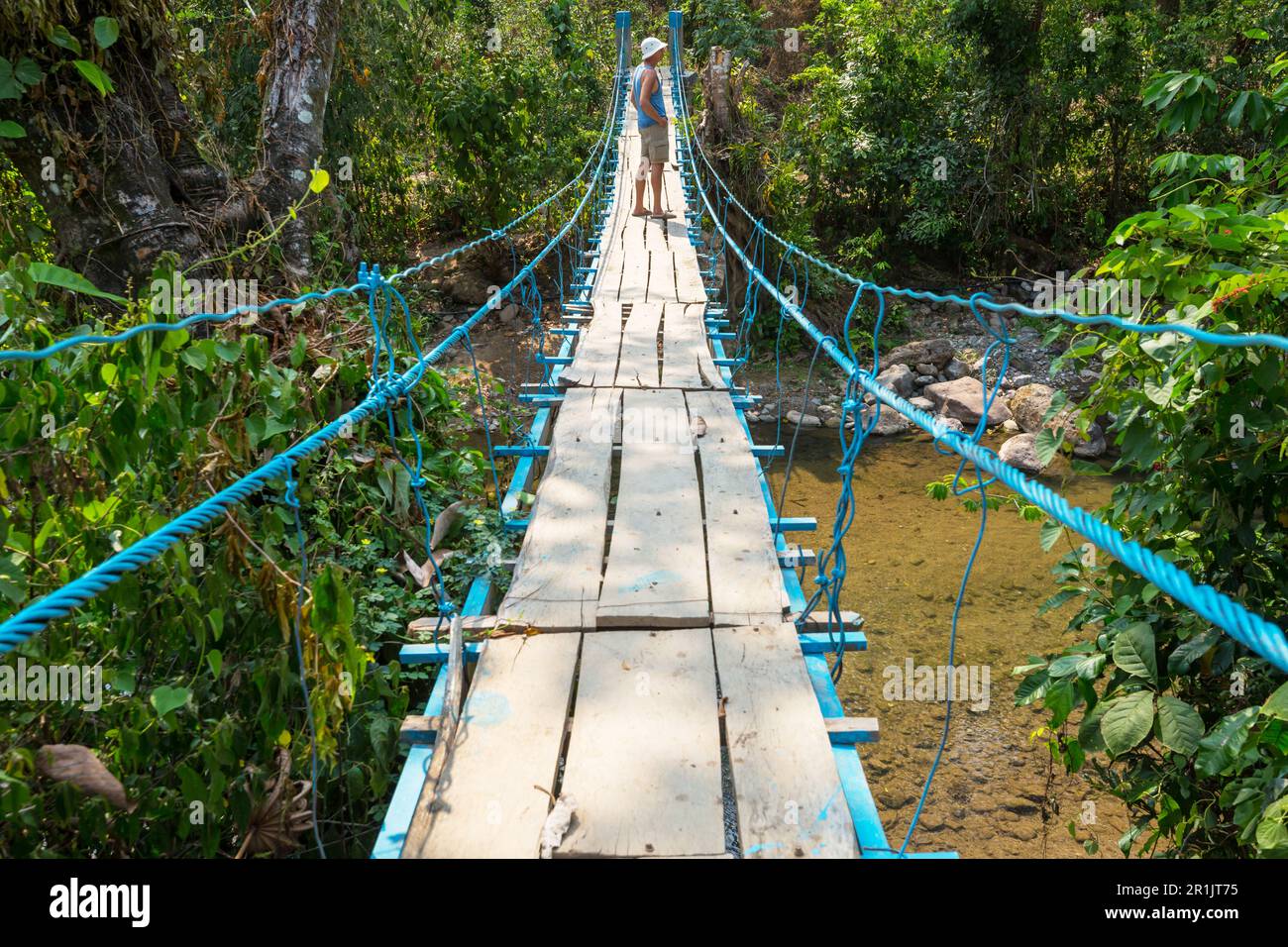 Tourist on the suspension bridge in tropical jungle, Honduras Stock ...