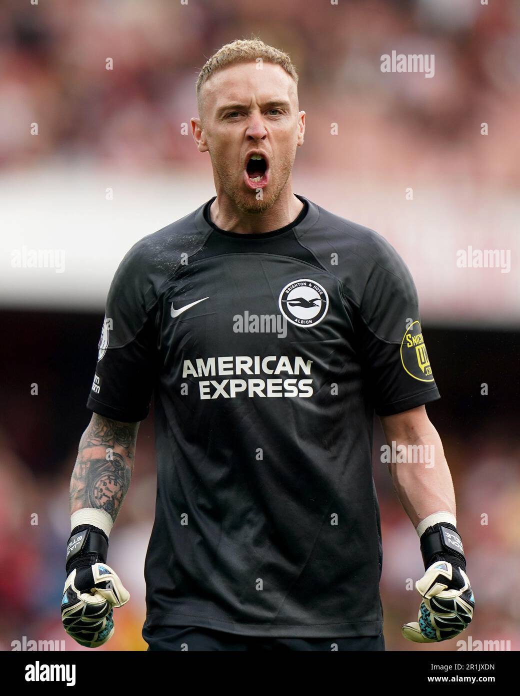 Brighton and Hove Albion’s Jason Steele celebrates his sides third goal ...