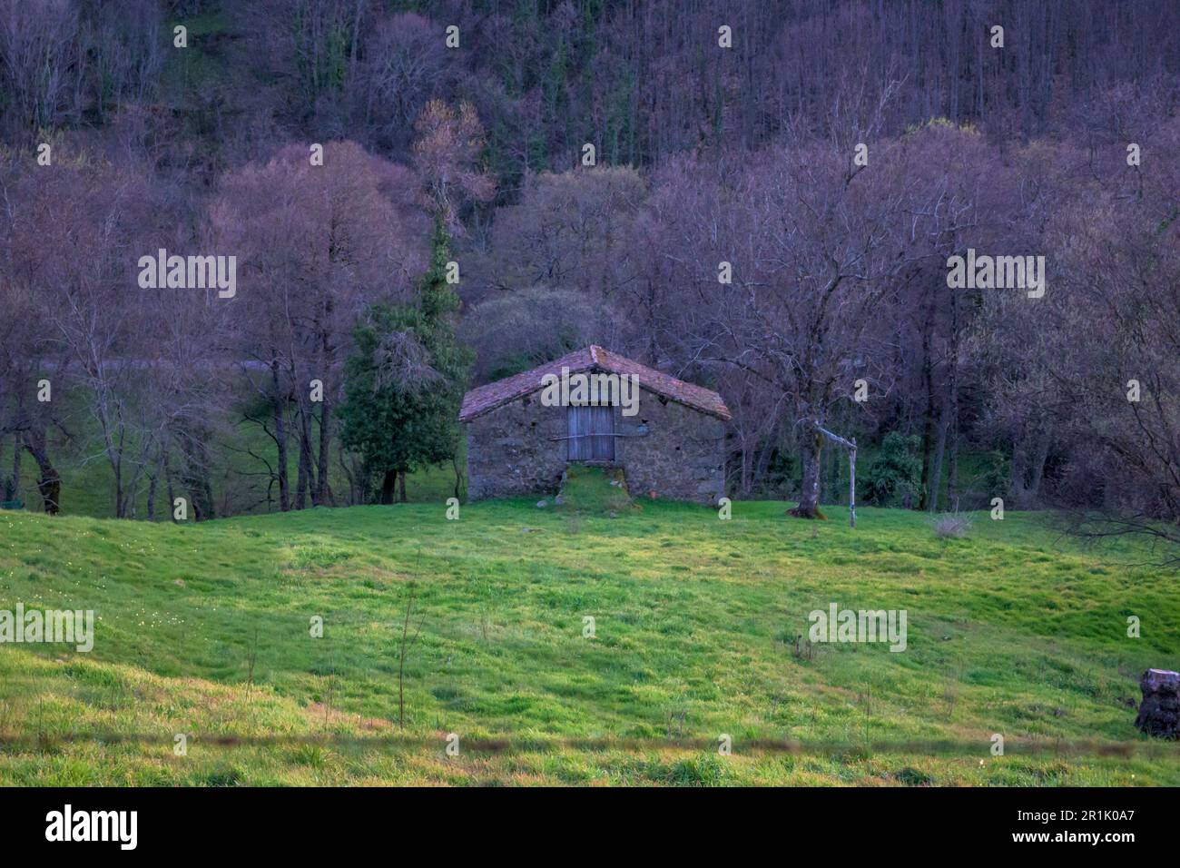 abandoned dark stone cabin in the middle of the scary forest Stock ...