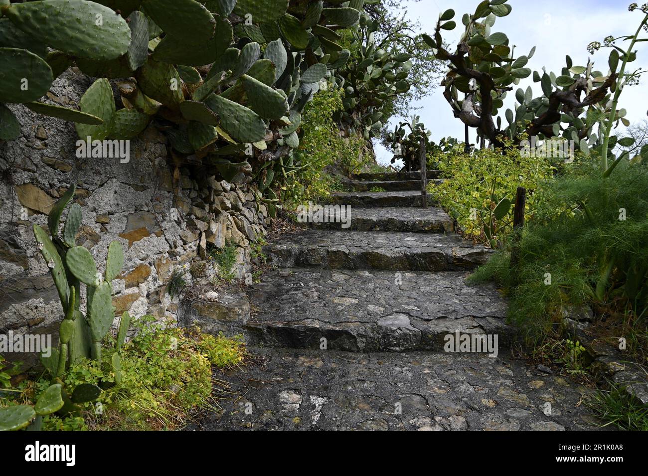 Landscape with scenic view of Sentiero dei Saraceni a trekking path ...