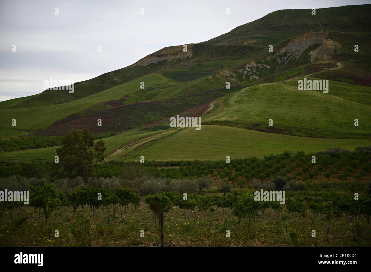 Scenic rural landscape in the countryside of Enna in Sicily, Italy ...