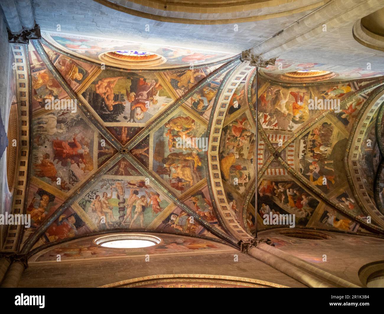 Groin vault ceiling covered with frescos of Arezzo Cathedral Stock ...
