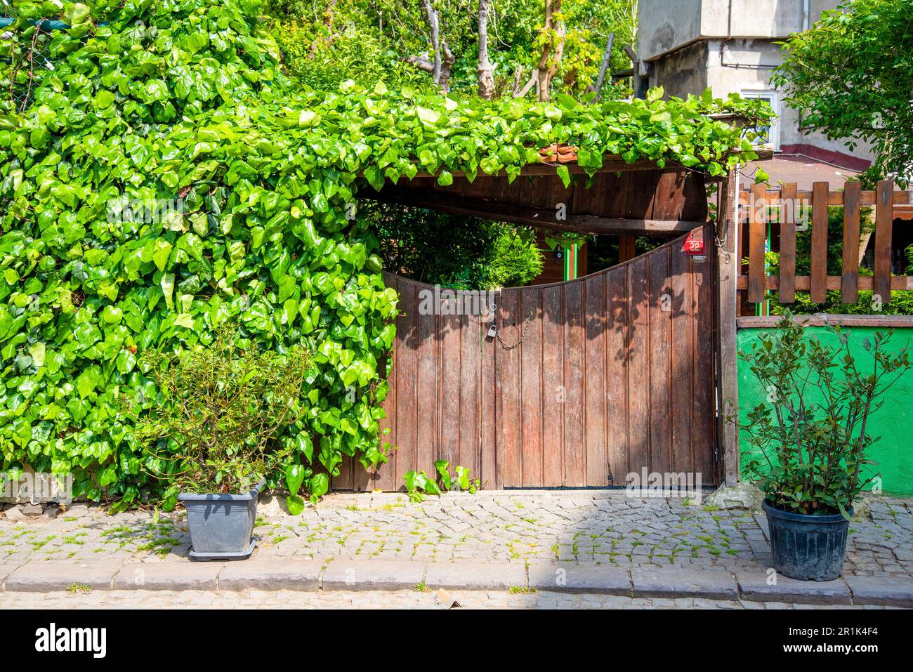 Overgrown garden gate and fence hi-res stock photography and images - Alamy