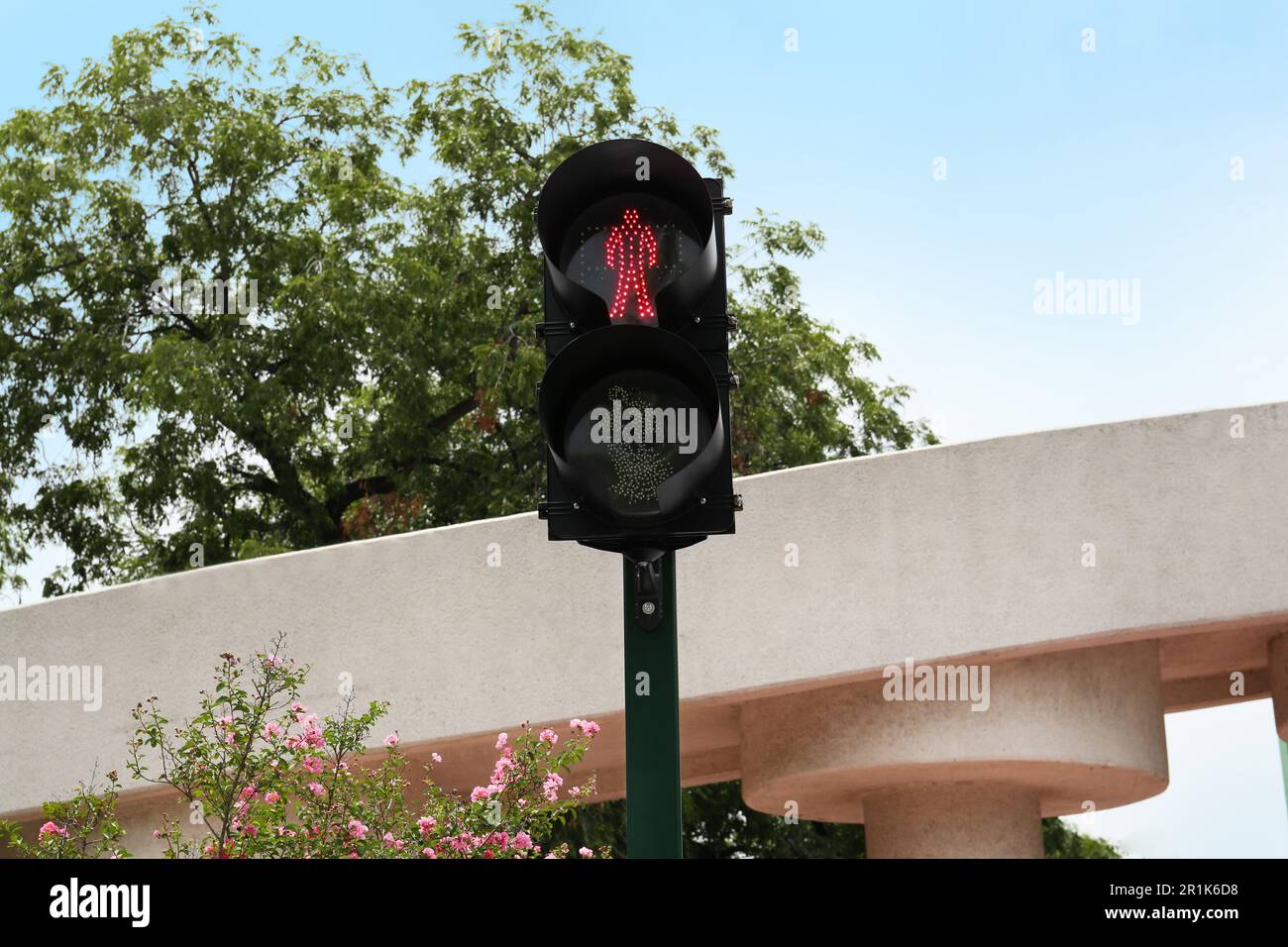 Traffic light with red signal near tree on city street Stock Photo - Alamy
