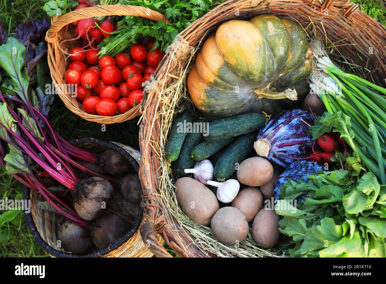 Different fresh ripe vegetables on green grass, top view Stock Photo ...