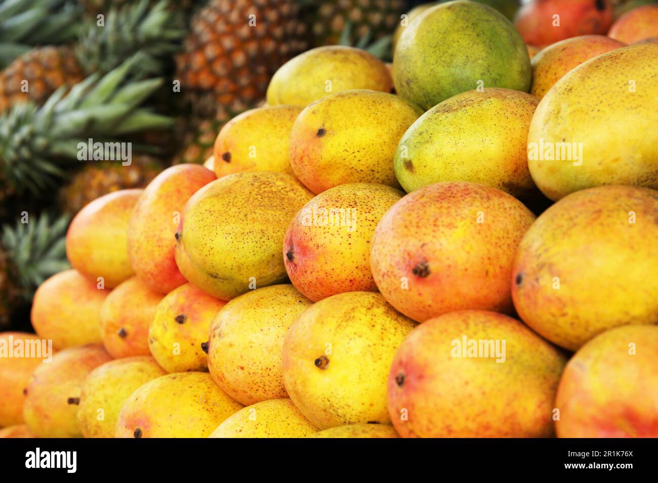Pile of delicious ripe yellow mangoes, closeup Stock Photo - Alamy