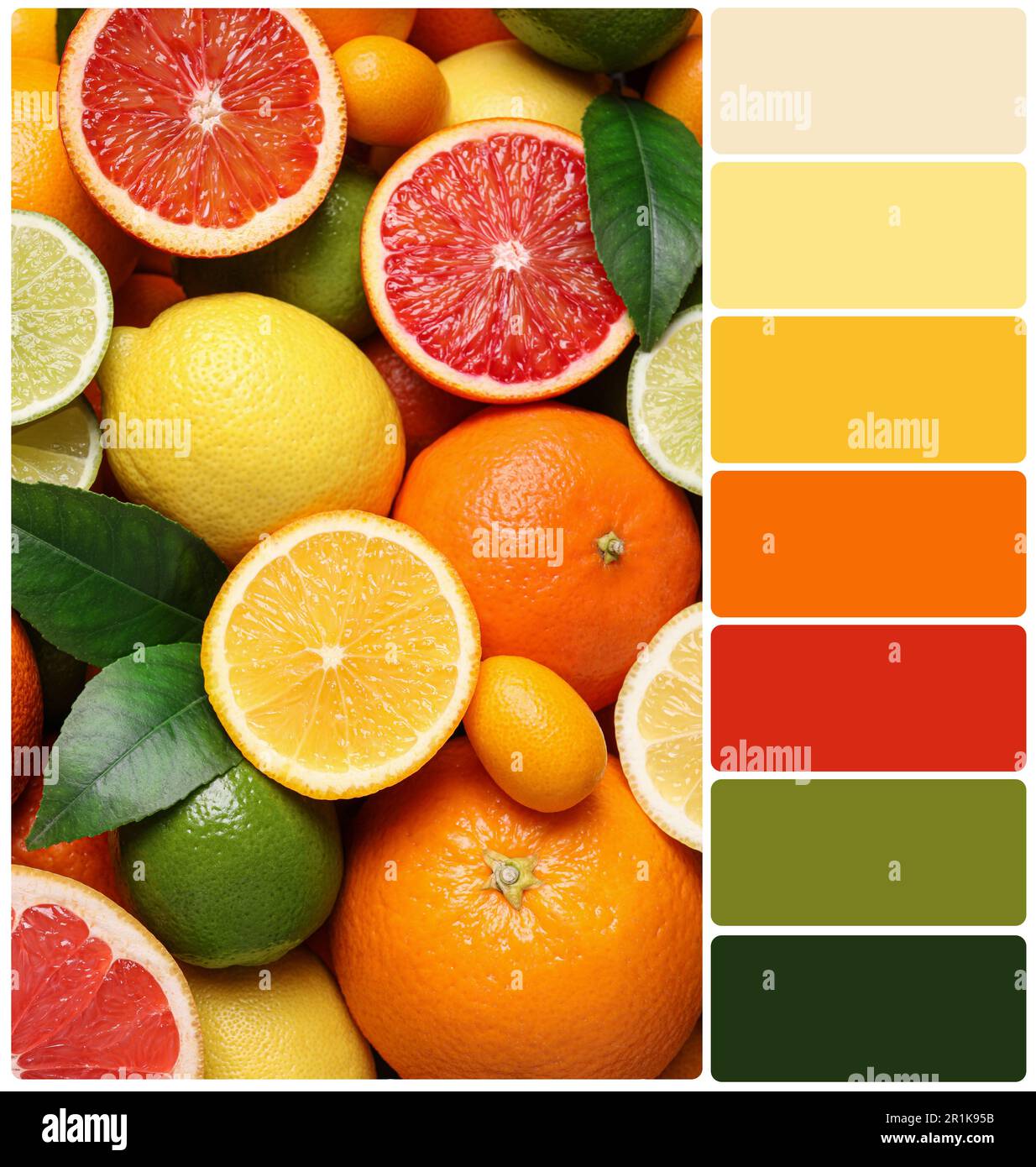 Different ripe citrus fruits and color palette. Collage Stock Photo - Alamy