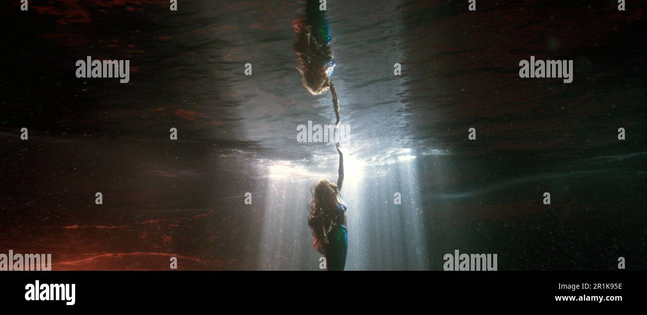 The Little Mermaid is a 2023 American musical fantasy film directed by ...