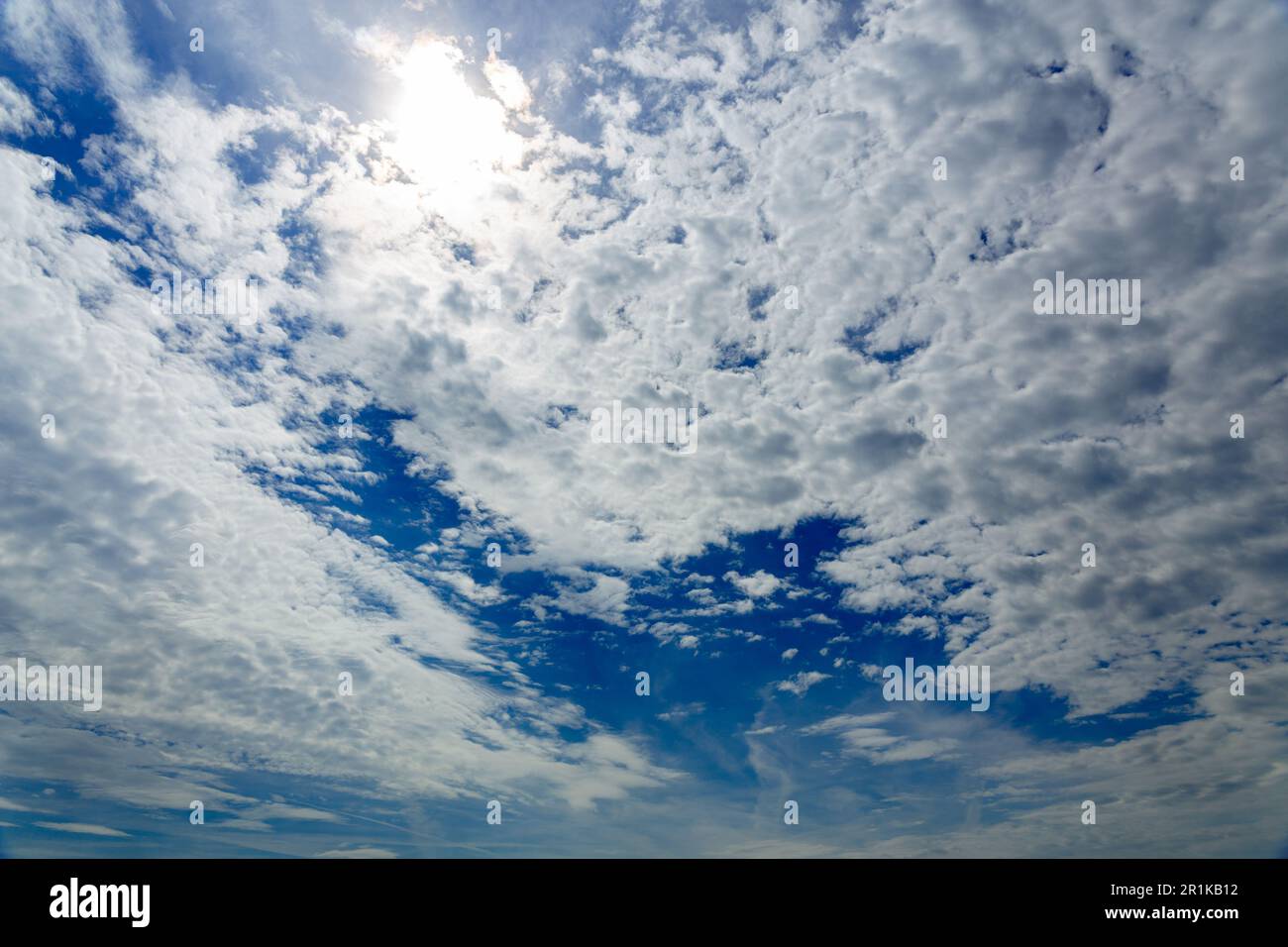 Overcast Sky Texture