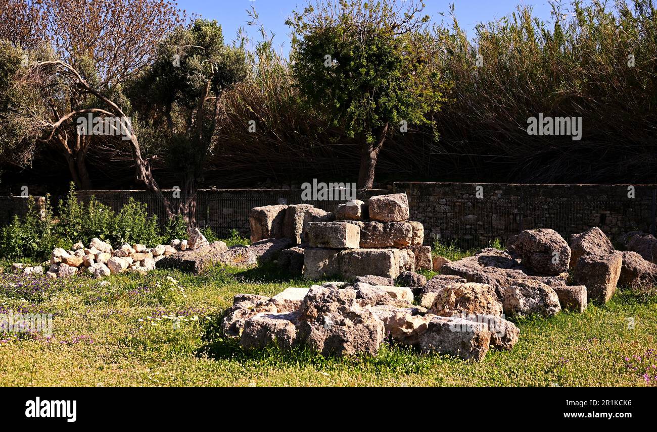 Area of the archaeological park with several trees, spreading branches ...