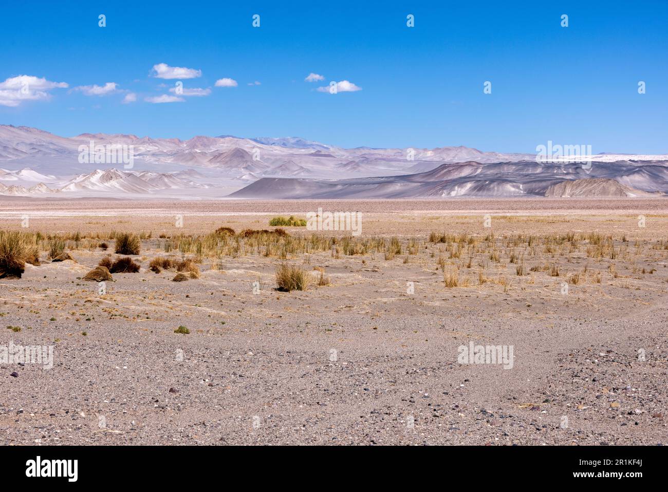 Puna - off road adventure through a bizarre but beautiful landscape ...