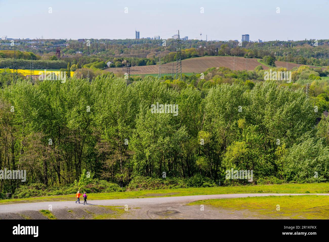 Mechtenberg landscape park hi-res stock photography and images - Alamy