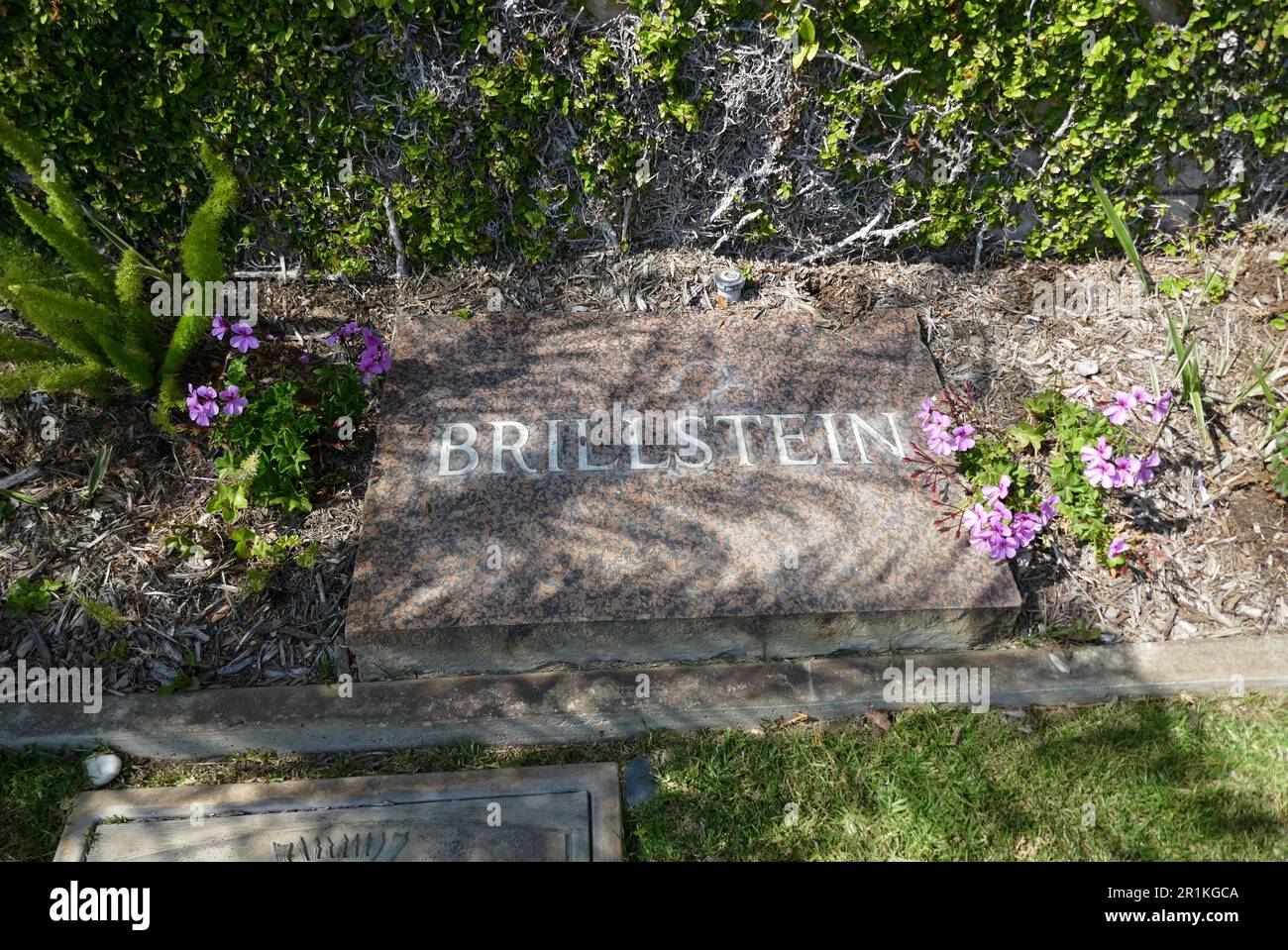 Los Angeles, California, USA 12th May 2023 Television Producer Bernie ...